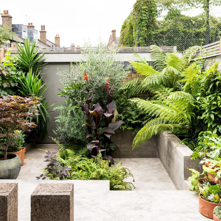 75 Moderne Gärten Ideen & Bilder - Februar 2023 | Houzz DE