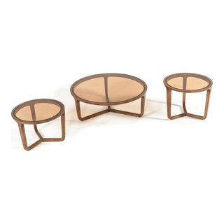 Stefani Modern 3, Piece Walnut Coffee Table Set - Transitional - Coffee ...