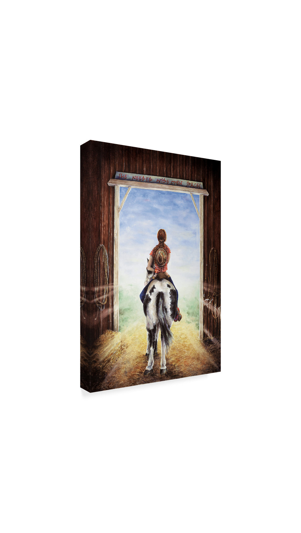 Charlsie Kelly 'Wide Open Spaces Horse' Canvas Art, 30"x47 ...