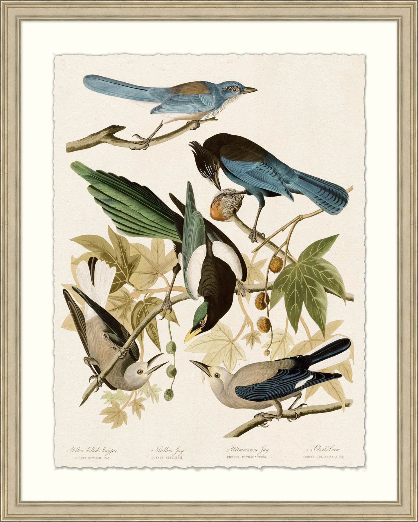 Magpie And Friends, Giclee Reproduction Artwork, 39.75x49.75 ...