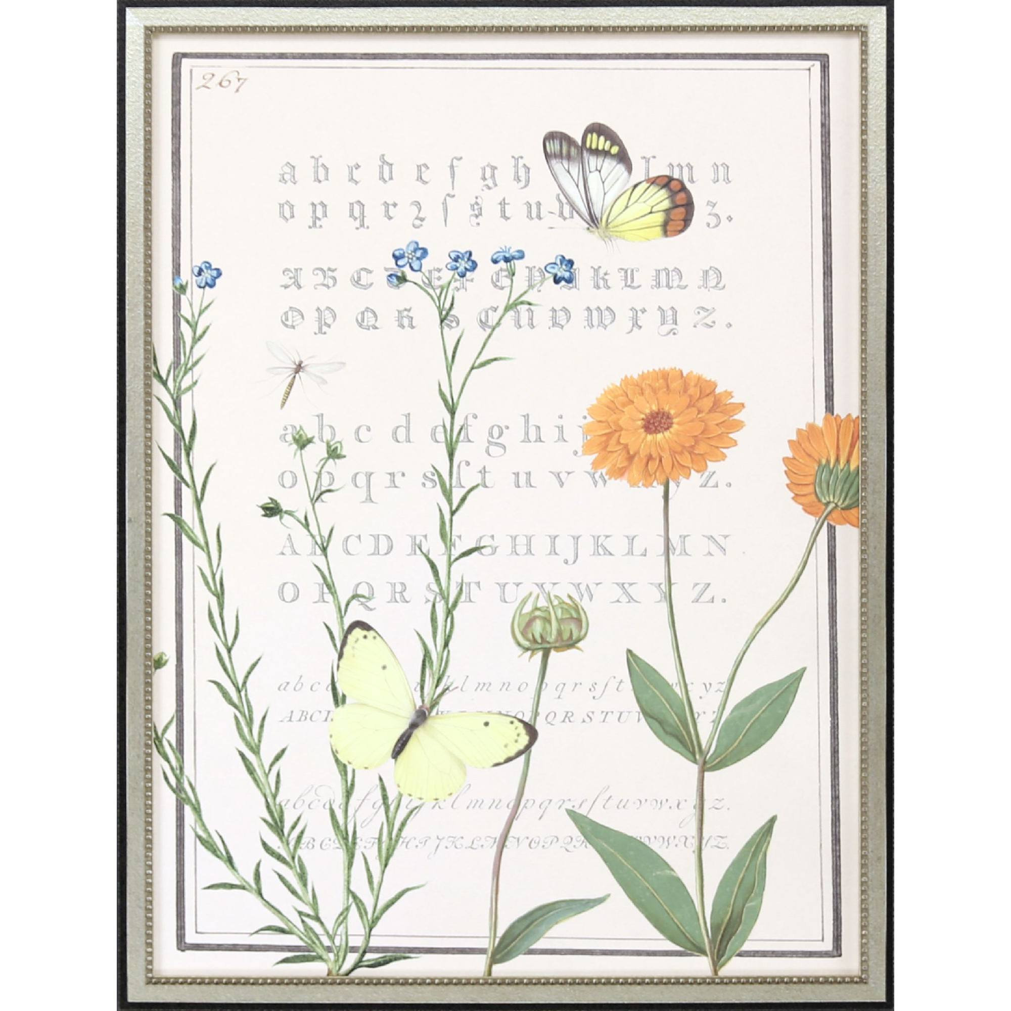 Ephemeral Flourish - Traditional - Prints And Posters - by Paragon ...