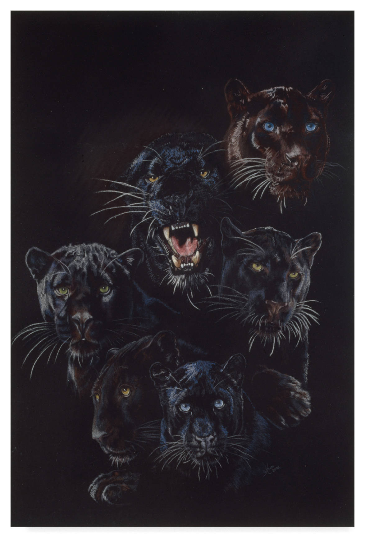 "Onyx" by Barbara Keith, Canvas Art, 16"x24" - Contemporary - Prints ...