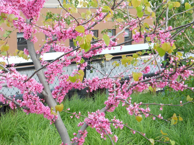 Spring Gardens Are Blooming — Here’s What to Do in April