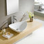 Fine Fixtures White Vitreous China Triangular Vessel Sink ...