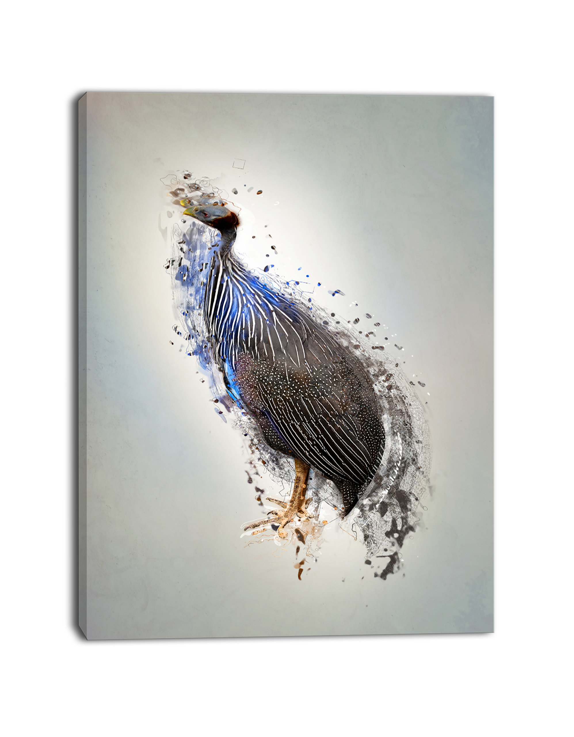 Guinea Fowl Abstract Design, Animal Canvas Wall Art, 12"x20 ...