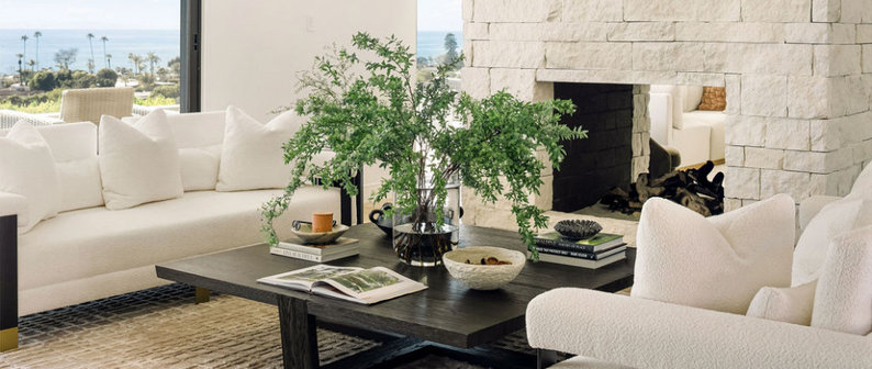 SUSAN THIEL DESIGN - Project Photos & Reviews - Newport Beach, CA US ...