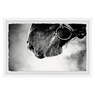"Muzzle" Framed Painting Print, 30"x20" - Contemporary - Prints And ...