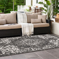 Traditional Destiny Area Rug, 6'x9' - Contemporary - Outdoor Rugs - by ...