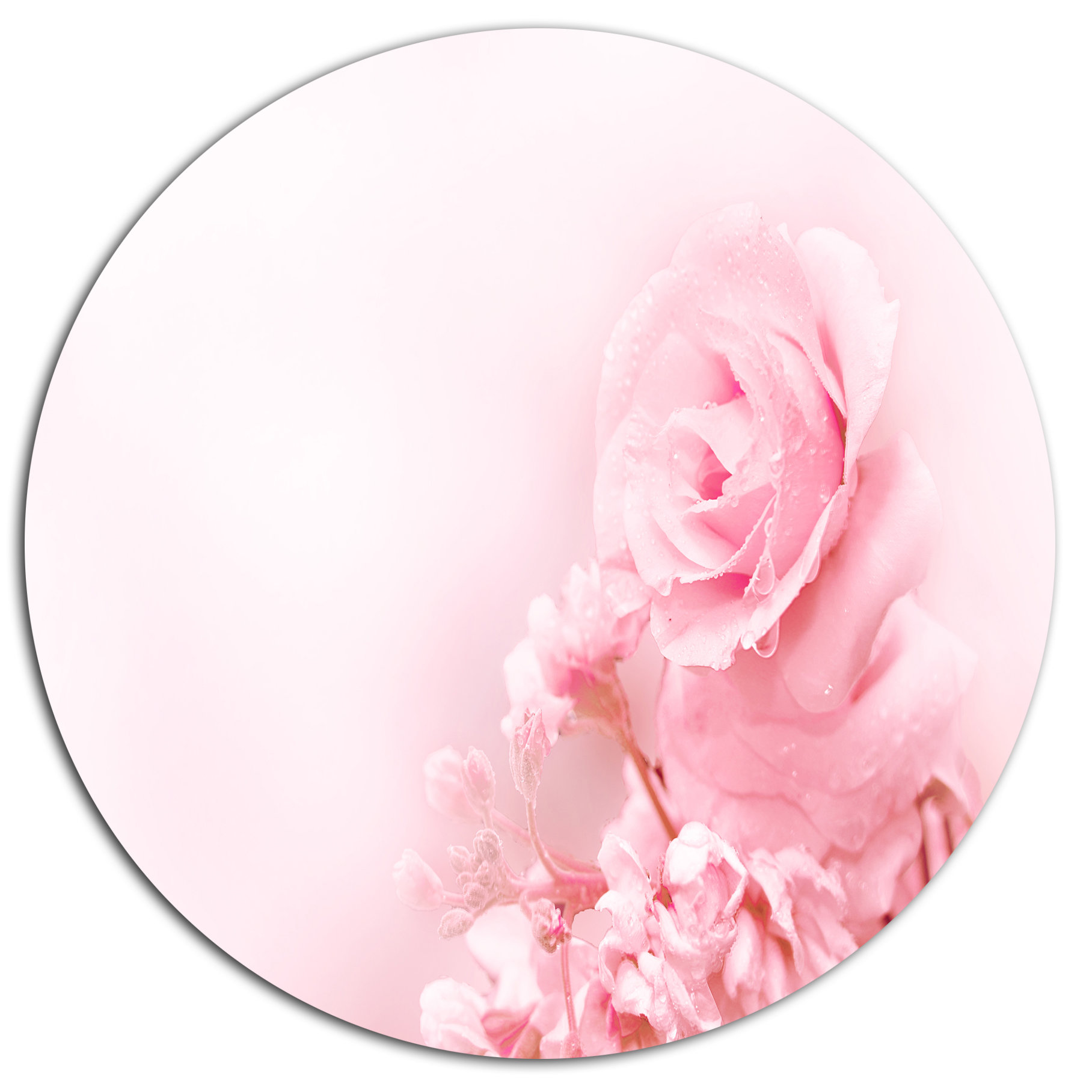 Beautiful Rose In Magic Light, Portrait Disc Metal Wall Art Print, Disc ...