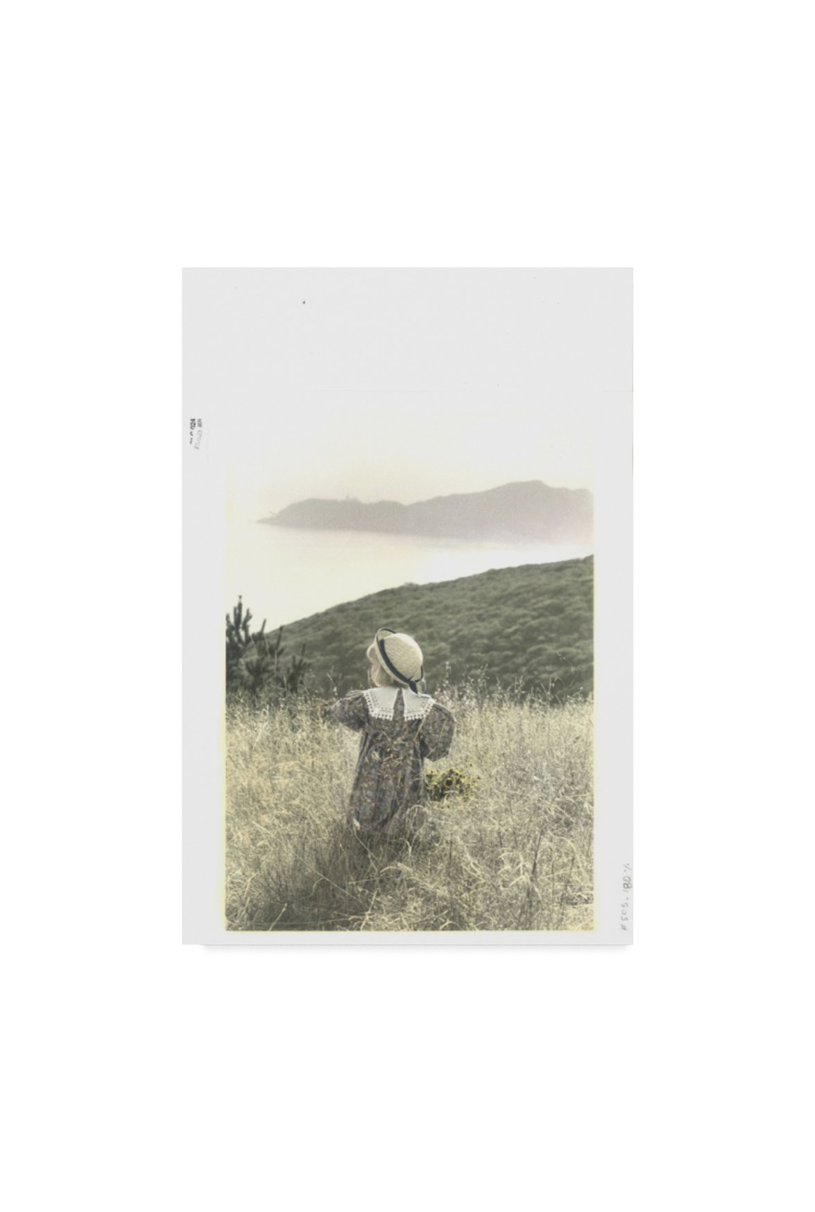 Gail Goodwin 'The Headlands' Canvas Art, 47"x30" - Contemporary ...