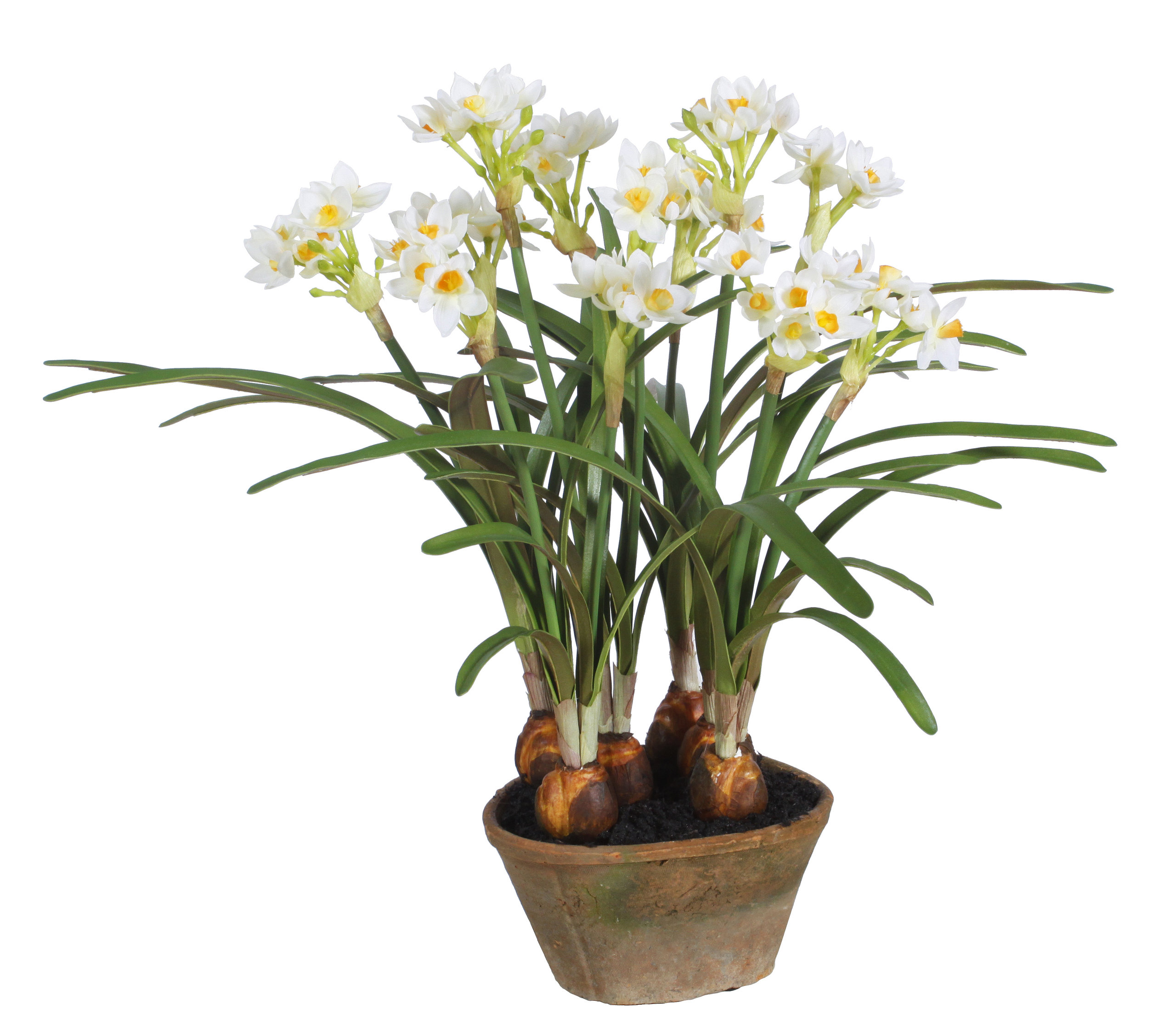 Potted Faux Paperwhite Lilies, White - Contemporary - Artificial Flower ...