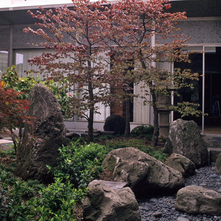 75 Beautiful Asian Garden Ideas & Designs - July 2025 | Houzz AU