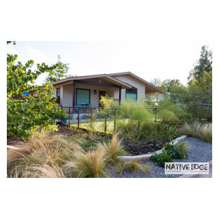Brentwood Beauty - Modern - Landscape - Austin - by Native Edge ...