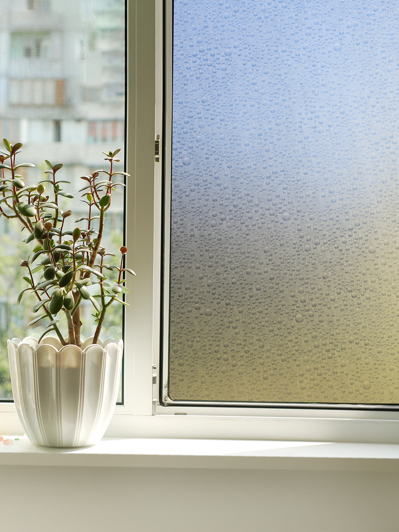 Waterdrop Blue Window Film - Contemporary - Window Film - by Brewster ...