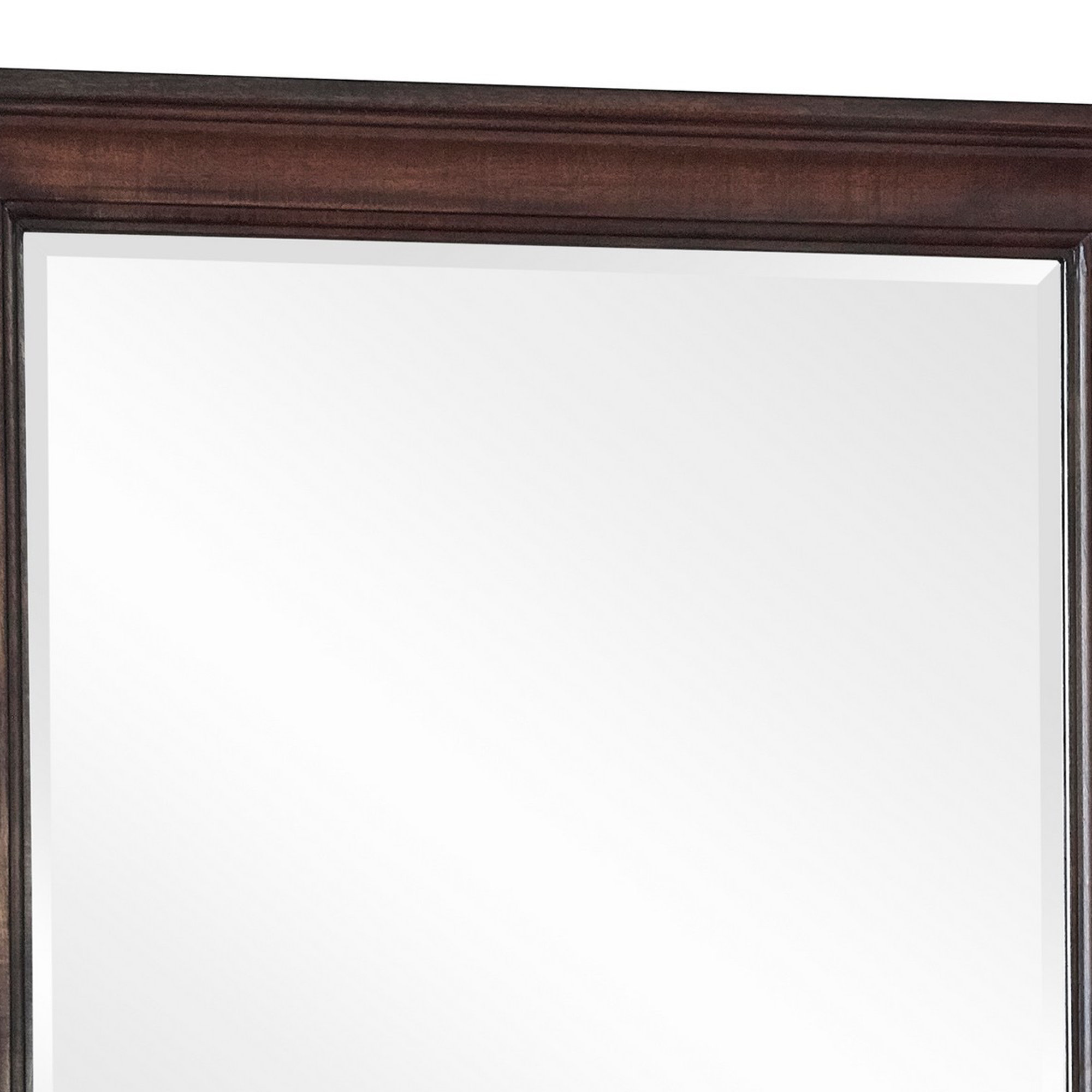 Benzara BM280362 Classic Rectangular Portrait Mirror With Wood Frame ...