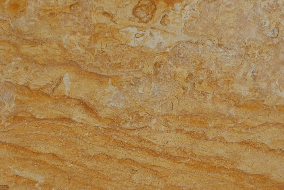 Giallo Reale Marble Tiles, Polished Finish, Sample - Traditional - Wall ...