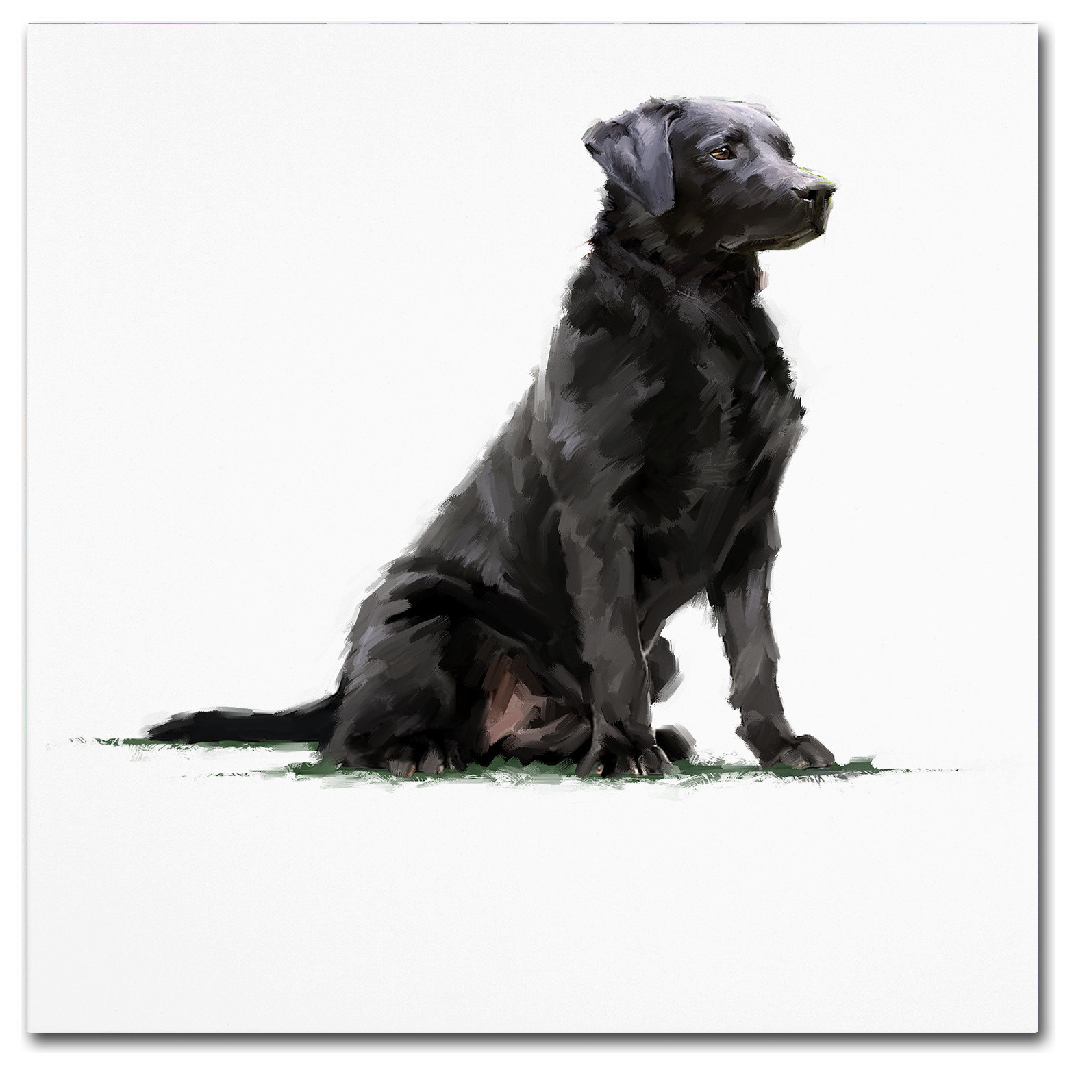 The Macneil Studio 'Black Lab' Canvas Art, 18"x 18" - Contemporary - Prints And Posters - by ...