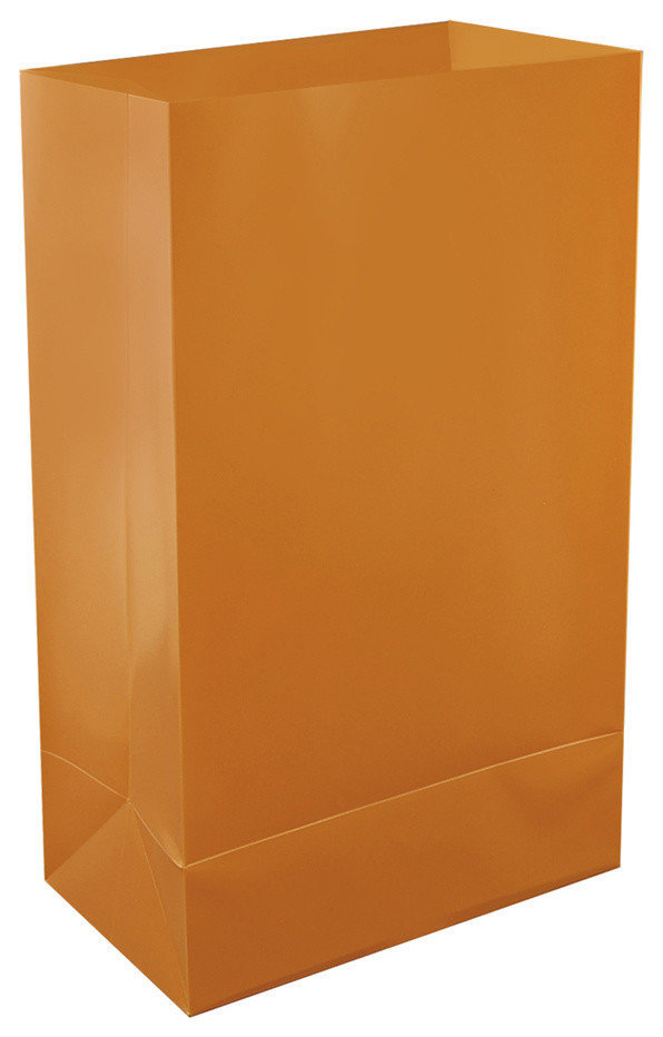Plastic Luminaria Bags, White, Set of 12 - Traditional - Holiday ...