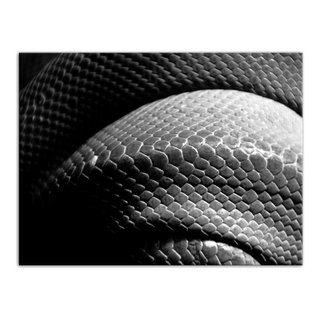 Black and White Snake Skin Texture Canvas Wall Art, 30x40 ...