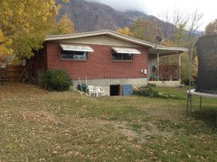 Houzz Call: What Gives You the Creeps at Home?