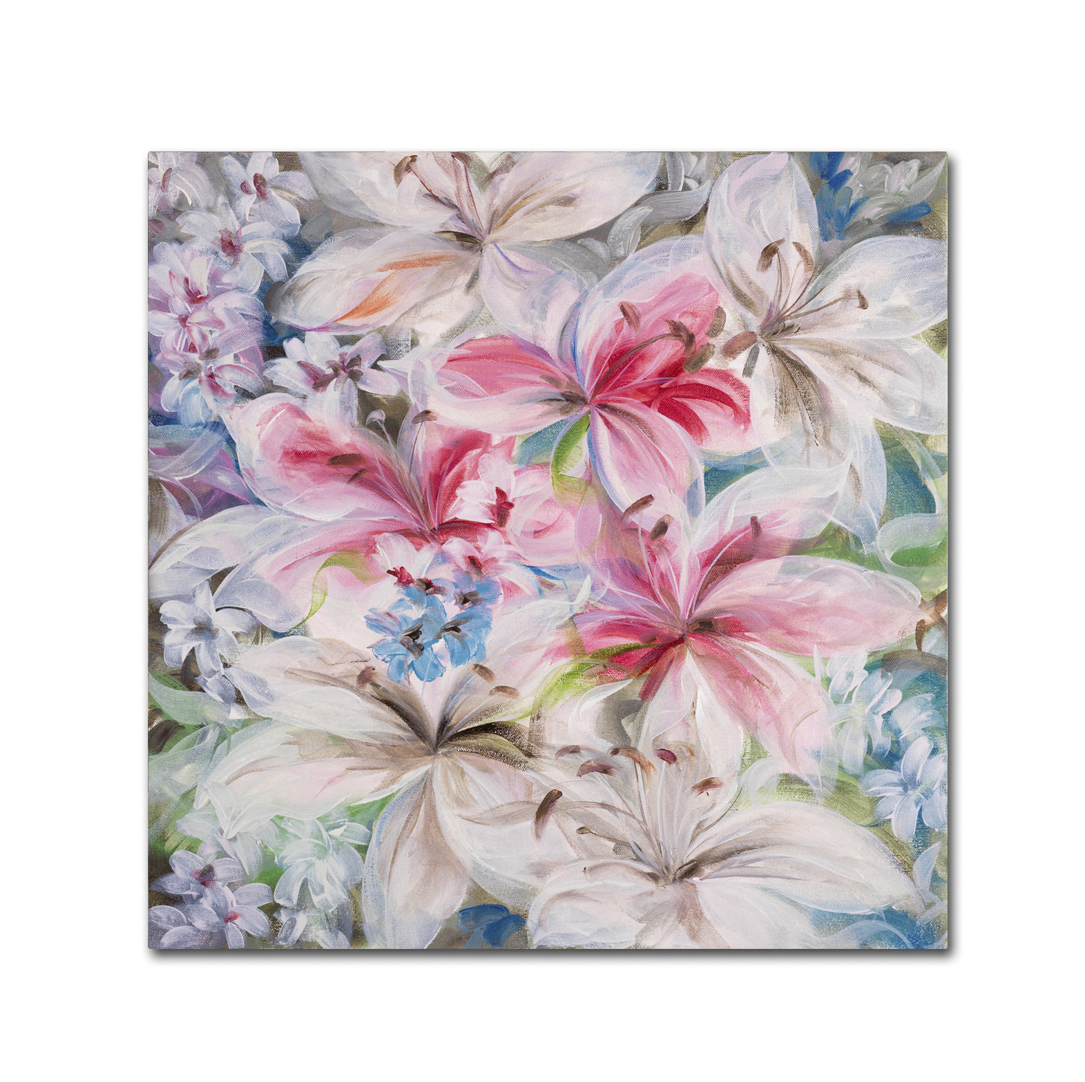 'Lily Patch' Canvas Art by Li Bo, 24" x 24" - Traditional - Prints And ...