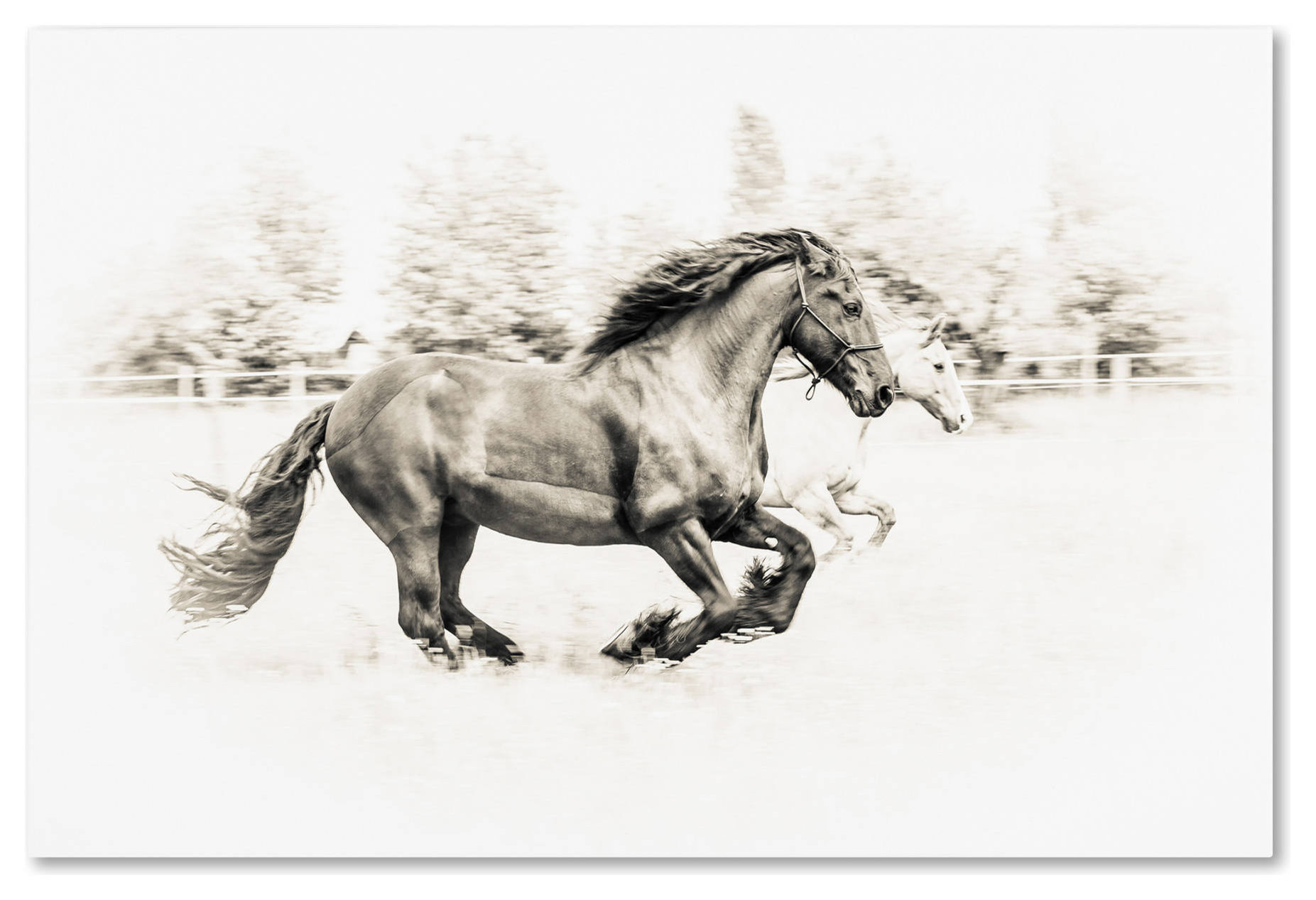 Sebastian Graf 'The Two Friends' Canvas Art, 19"x 12" - Contemporary ...