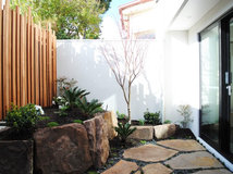 How to Disguise a Garden Wall That's Ugly | Houzz
