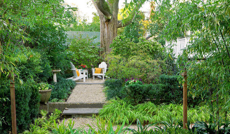 Backyard Ideas on Houzz: Tips From the Experts