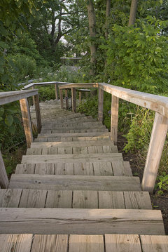 Best option for steps up steep driveway? | Houzz AU