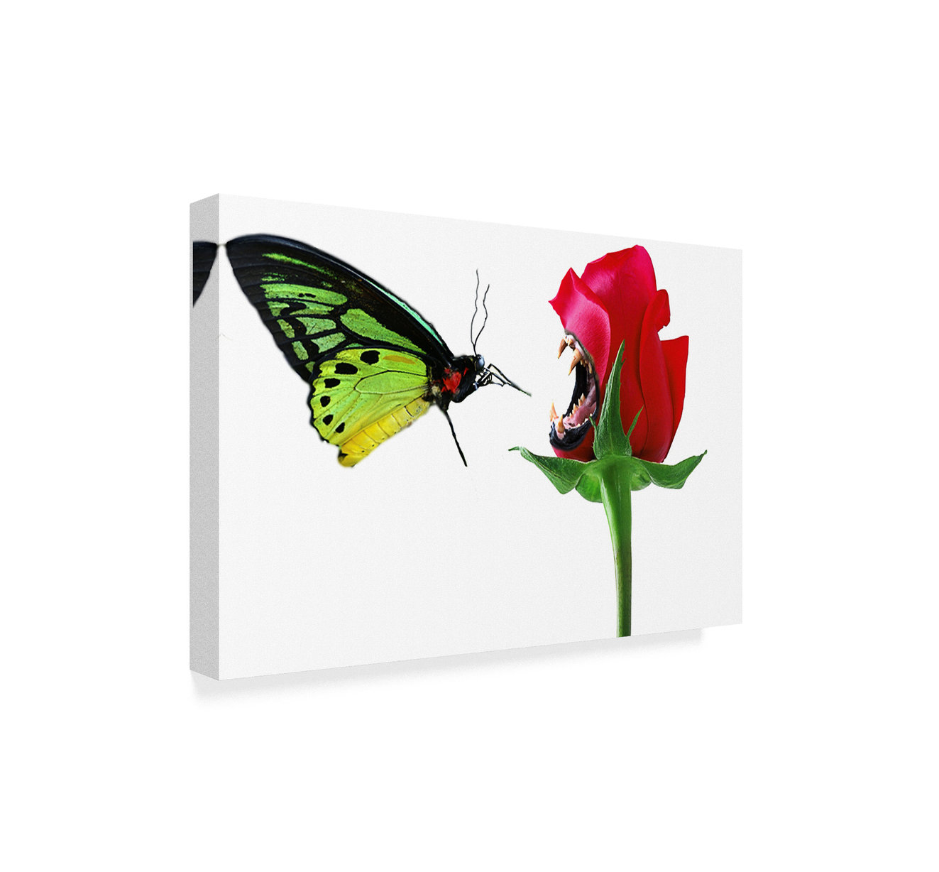 "First Impressions" by Dana Brett Munach, Canvas Art, 12"x19 ...