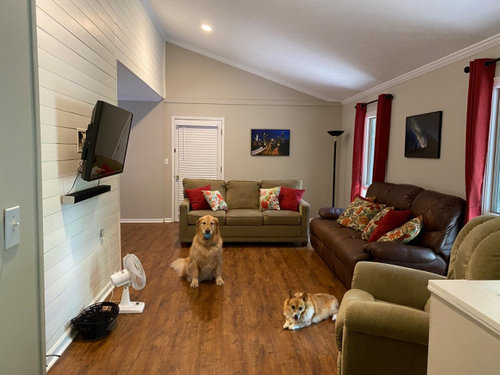 Rug suggestion for dogs' family room