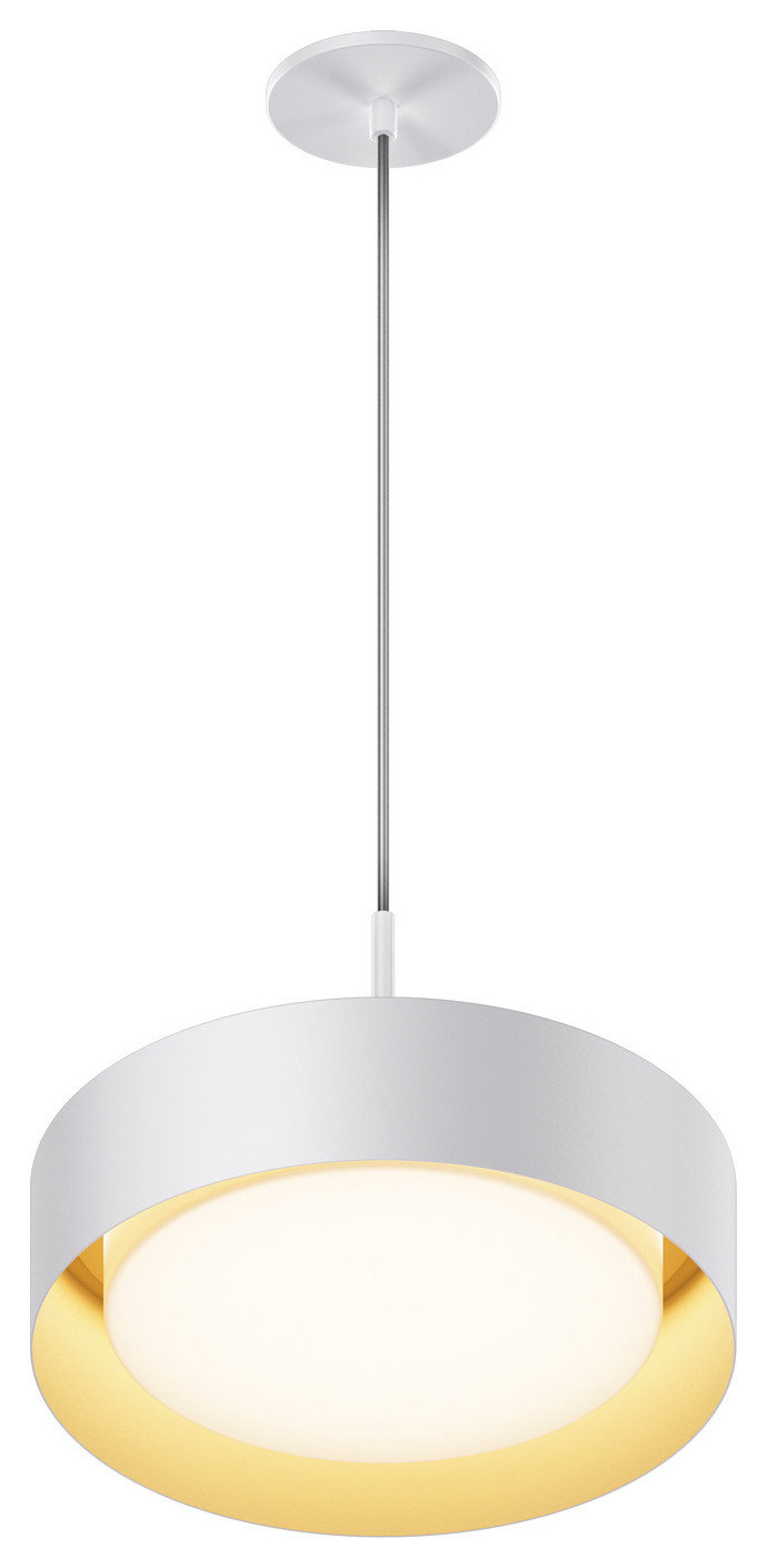 Echo LED Pendant, White/Gold - Modern - Pendant Lighting - by Buildcom ...