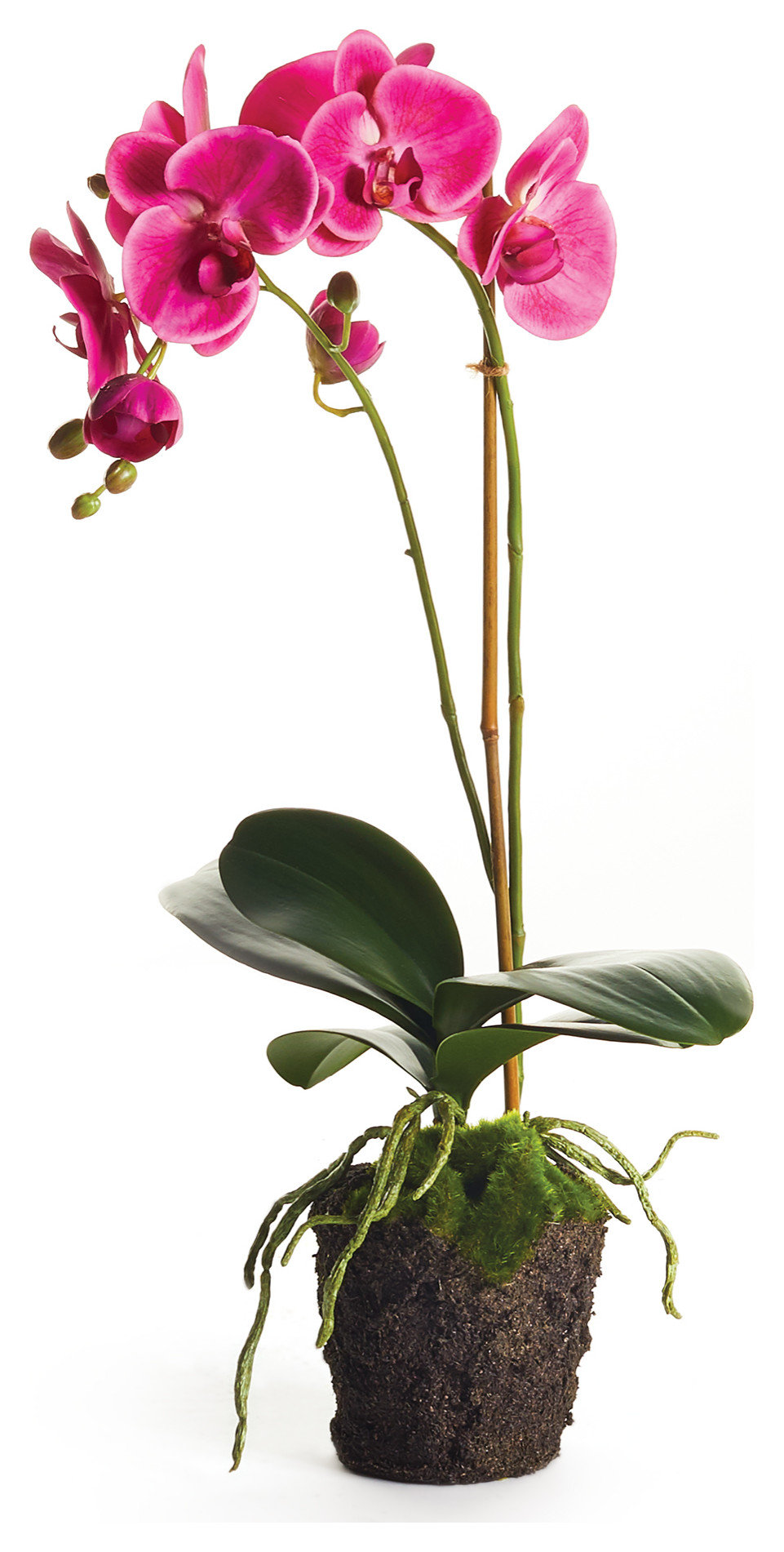 Realistic Orchid Drop-In 23" - Artificial Plants And Trees - by Napa ...
