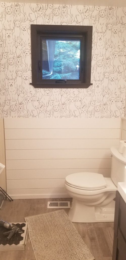 Paint Powder Room Shiplap Black?