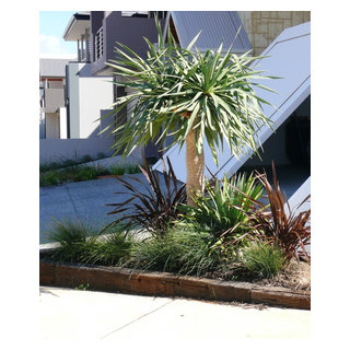 Waterwise Verge Planting - Contemporary - Perth - by Nouveau Garden ...