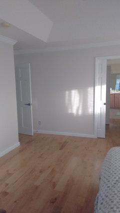 Best color with Benjamin Moore classic grey