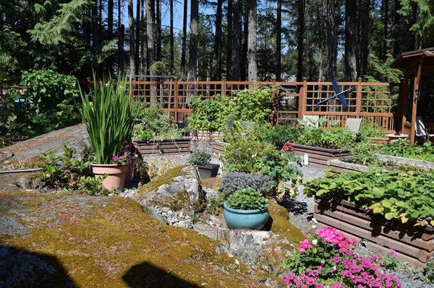 See What’s Growing in These Backyard Edible Gardens