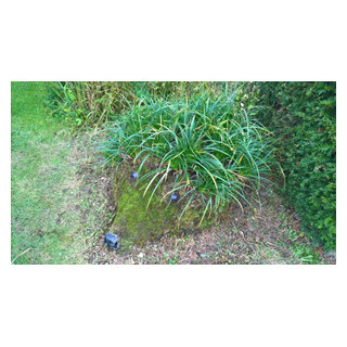 Hedgehog Street - giant 'SEDGE HOG' sculpture made of clay, sedges and ...