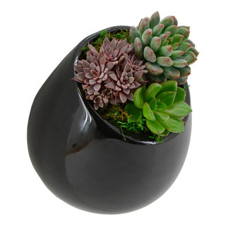 Small Round Wall Planter - Transitional - Outdoor Pots And Planters ...