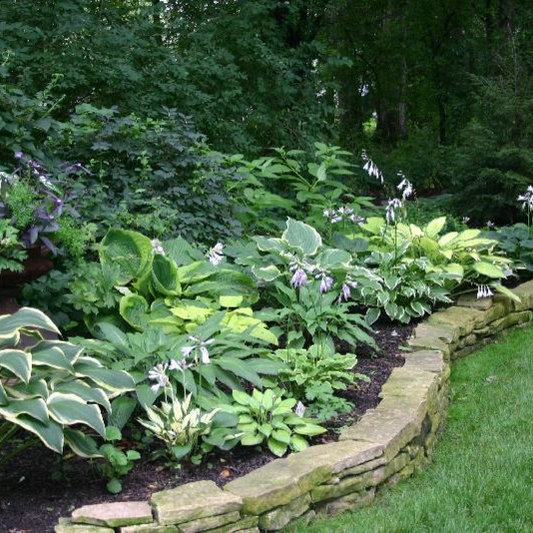 75 Shade Retaining Wall Landscape Ideas You'll Love - December, 2025 ...