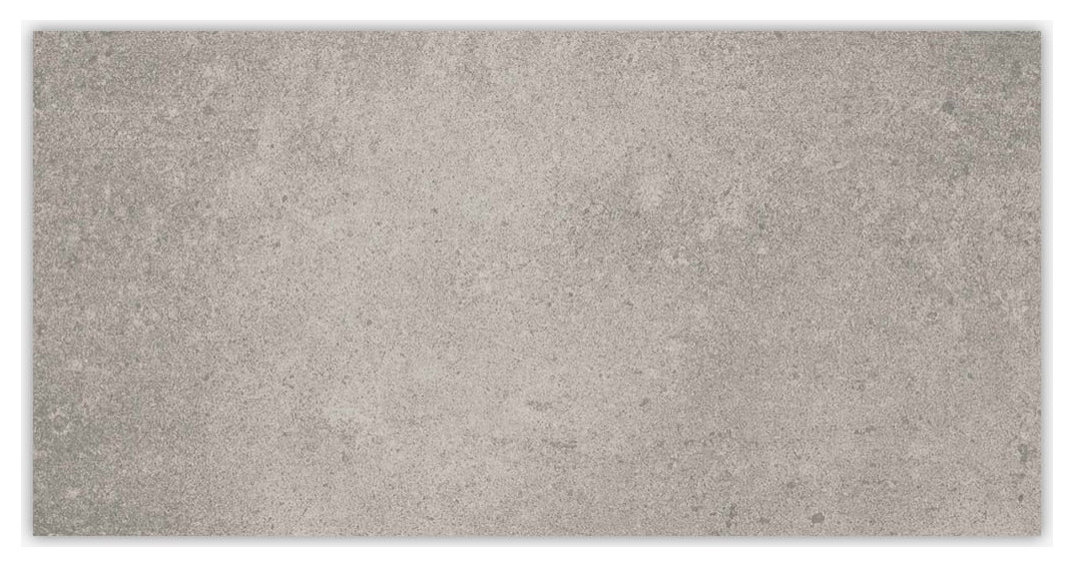 Ark Silver Matte 12x24 Porcelain Tile, 12X24 - Traditional - Wall And ...