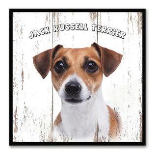 Jack Russell Terrier Dog Canvas Print, 7"x7", 15"x15" - Contemporary ...