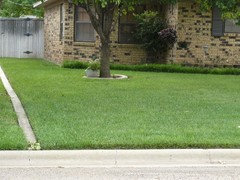 shared front yard with neighbor.. | Houzz Forum