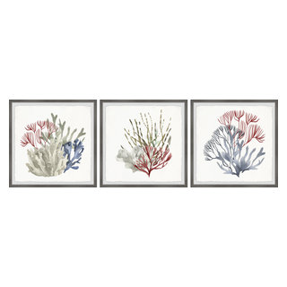 Marine Life Display Triptych, 3-Piece Set, 12x12 - Beach Style - Wall ...