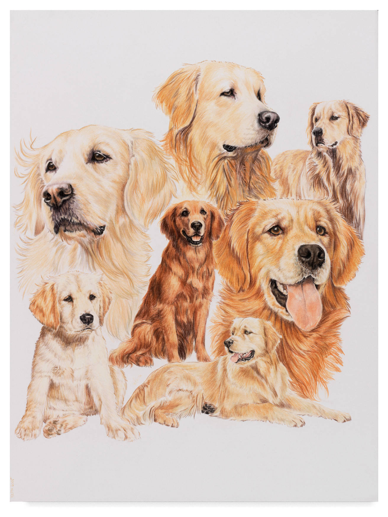 "Golden Retriever Collage" by Barbara Keith, Canvas Art, 47"x35 ...