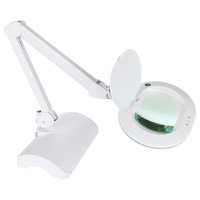 Brightech LightView Pro 2 in 1 XL Magnifying Floor Lamp - Very Bright ...