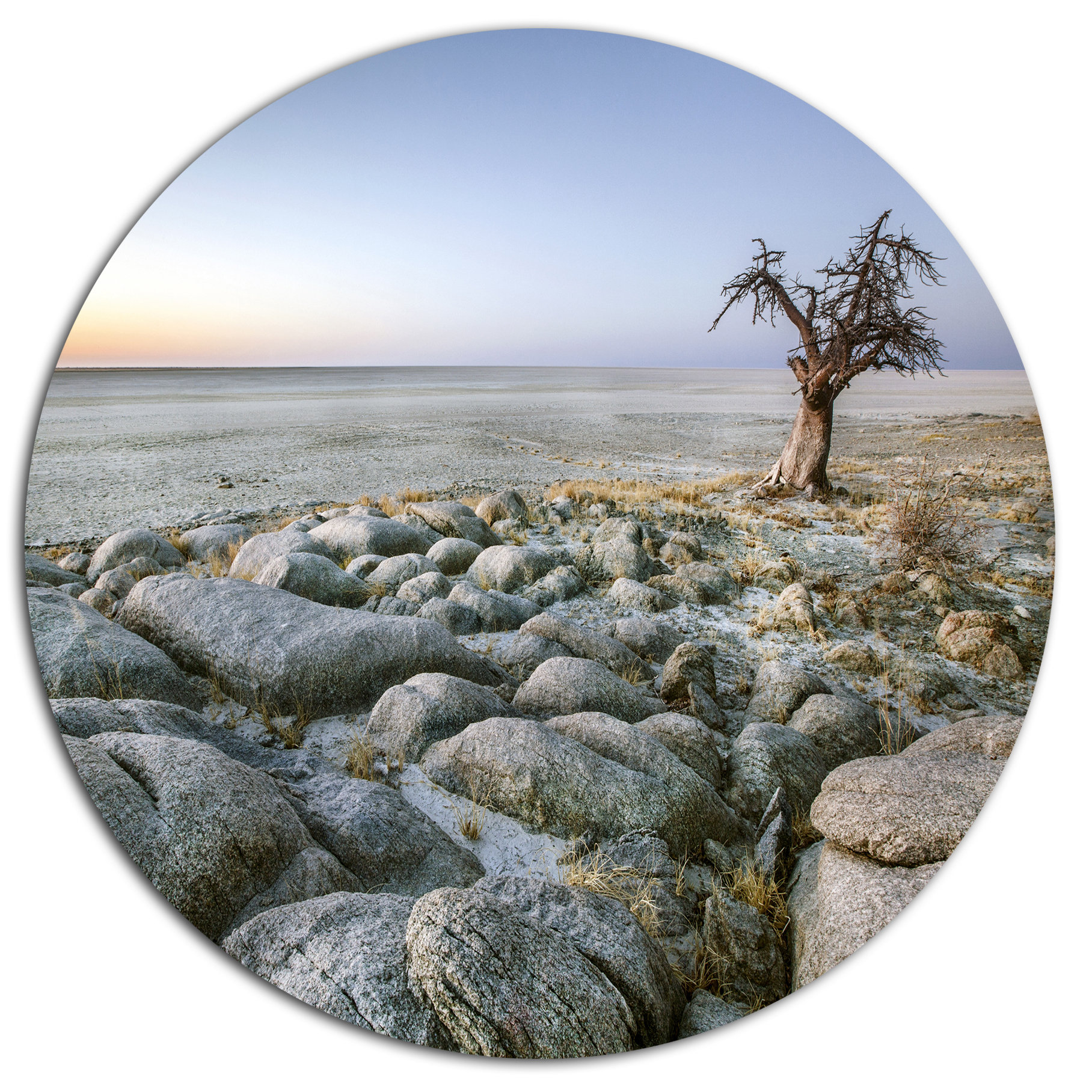 Baobab Tree On Rocky Terrain, Landscape Disc Metal Wall Art, Disc of 23 ...