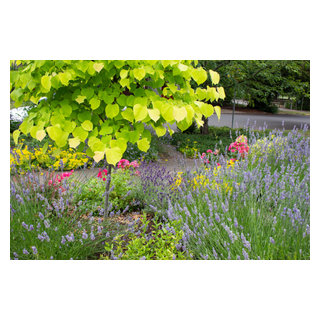 Sabin Habitat Garden - Contemporary - Garden - Portland - by Northwest ...