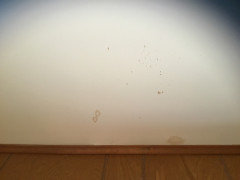 Small spots on ceiling