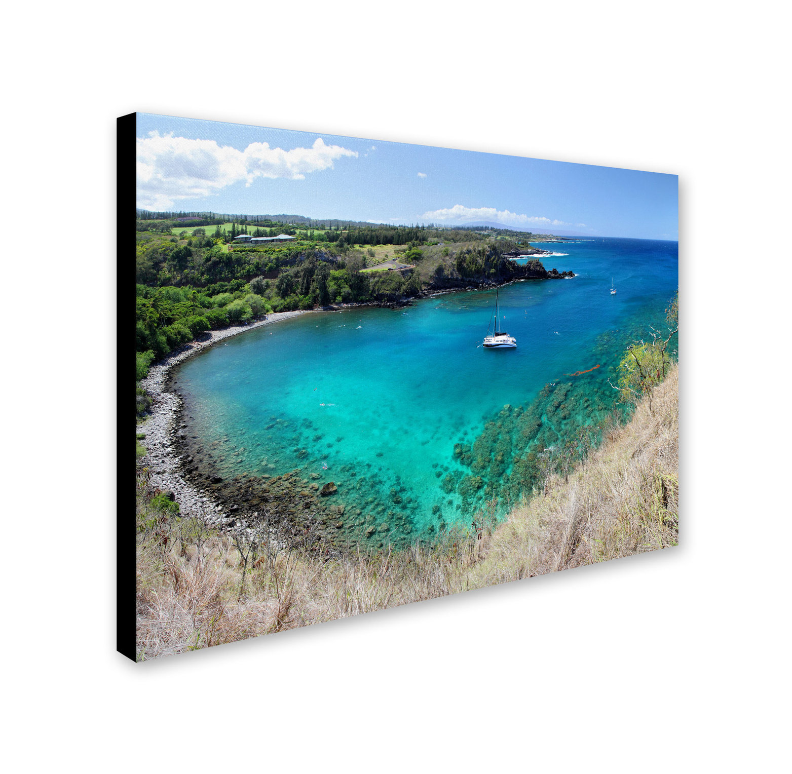 'Honolua Bay' Canvas Art by Pierre Leclerc, 14" x 19" - Beach Style ...
